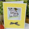Sweet Spring Wishes Card Kit - Teaspoon of Fun