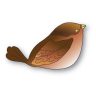 Backyard Wren Craft Die Set - Teaspoon of Fun