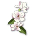 Magnolia Blossom Trio Craft Die - Teaspoon of Fun