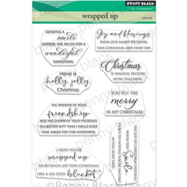 Wrapped Up Clear Stamp Set - Teaspoon of Fun